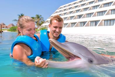 Swim with Dolphins – Punta Cancun Dolphin Ride