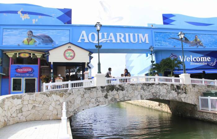 Interactive Aquarium Cancun Entrance | MTS
